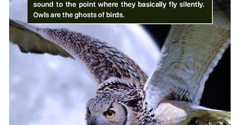 Dont Click If The Topic “exploding Penises” Troubles And Triggers You … Album On Imgur