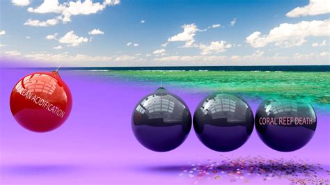 Ocean Acidification Explained A Growing Threat To Coral Reefs