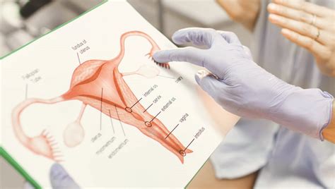 Short Cervix Problems Diagnosis And Treatment Mali Pregnancy