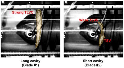 Effects Of Tip Leakage Vortex Cavitation On Flow Field Under Cavitation
