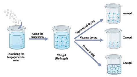 Schematic Illustration Of The Preparation Of Aerogels Xerogels And Download Scientific Diagram