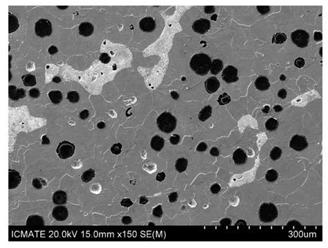 Grey Cast Iron Microstructure