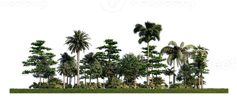 3ds Rendering Image Of 3d Rendering Trees On Grasses Field 8880440 Png