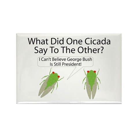 Cicada Jokes Rectangle Magnet Cafepress