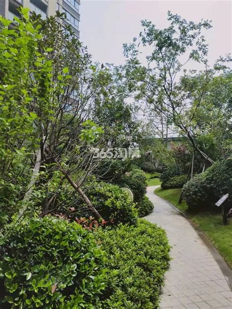 荣盛锦绣澜山楼栋外立面实景（926）南京锦澜府南京新房网365淘房