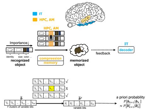Figure 7 From Object Recognition At Higher Regions Of The Ventral Visual Stream Via Dynamic