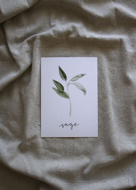 Herb Prints Sage Oregano Rosemary Thyme Basil Cilantro Parsley