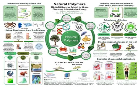 Natural Polymers Chemistry For Sustainability