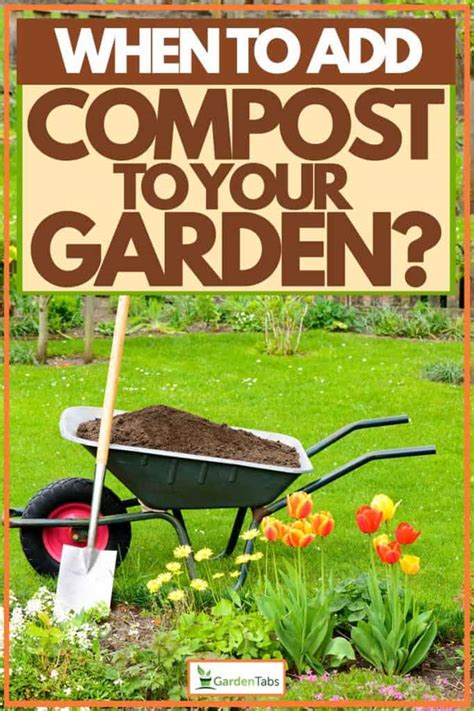 When To Add Compost To Your Garden