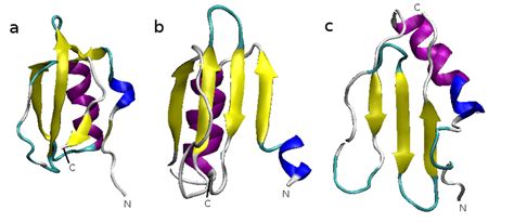 A The Native Structure Of Chymotrypsin Inhibitor 2 B And C Lowest Download Scientific