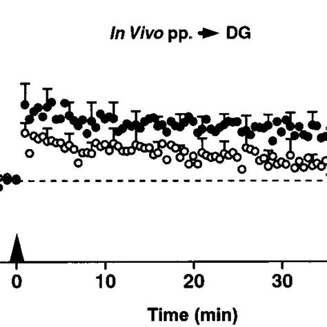 In Vivo Ltp Of The Fepsp In Dentate Gyrus After Tetanization Of The Download Scientific