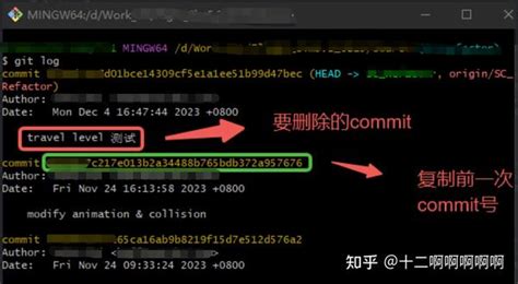 Git 删除分支上的某次提交（详细操作） 知乎