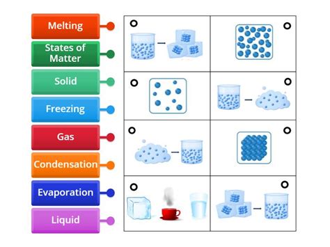 States Of Matter Labeled Diagram Labelled Diagram