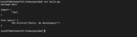 create a containerized go development environment in docker brett fullam