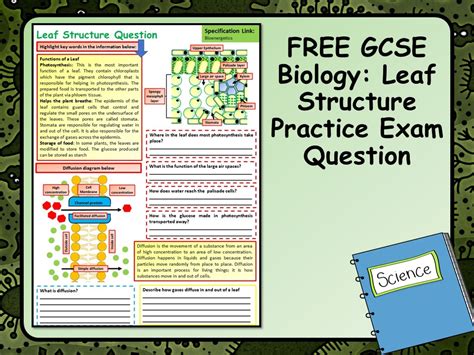 GCSE Biology Revision Resources Tes