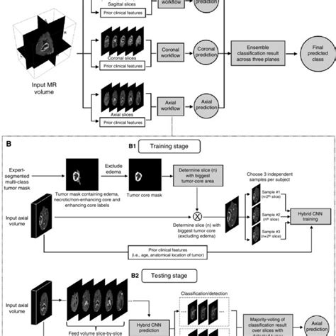 Inclusion Flowchart Of Data For Idh Mutation And 1p19q Codeletion Download Scientific Diagram