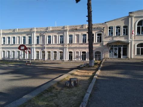 თელავის პირველი საჯარო სკოლა სწავლების დისტანციურ რეჟიმზე გადავიდა 1tv