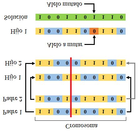 Fases de operación de un Algoritmo Genético Imagen de propia autoría Download Scientific Diagram