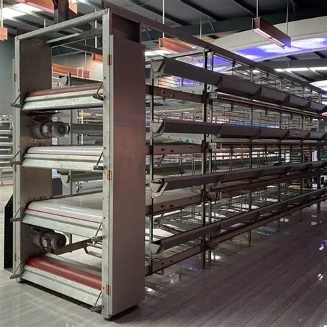 Poultry Farm H Type Breeding Automatic System Battery Egg Layer Cage