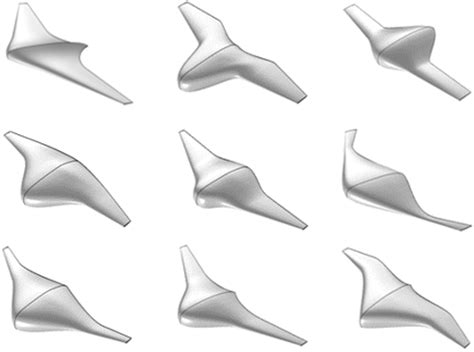 【博创基金微展示】第23期 付崇博：基于距离相关的kriging代理模型高维优化方法及其应用研究 西北工业大学研究生院