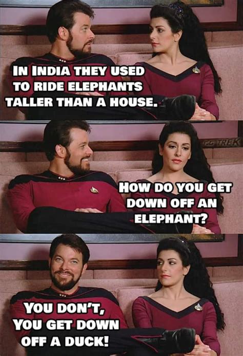 Looks Like Hes Got Down Synonym Rpunpatrol