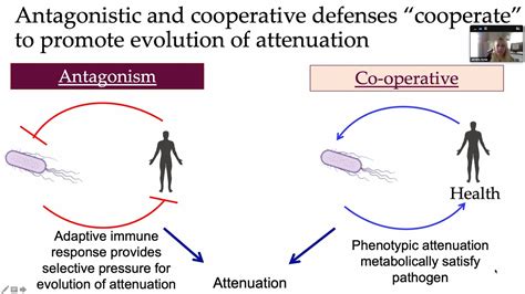Host Pathogen Interactions Harnessing Co Evolution To Treat Disease By Dr Janelle Ayres YouTube