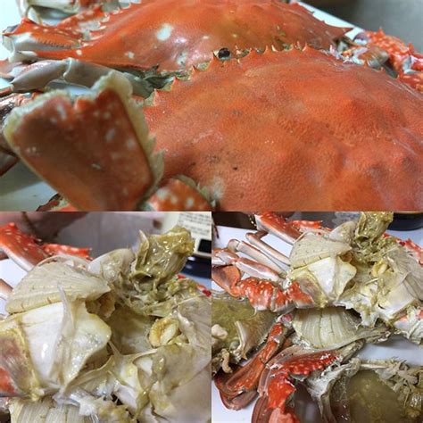 생방송투데이x식신 빅데이터 맛집 해물찜 식신