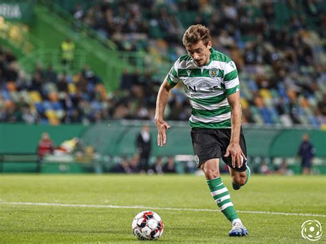 Chico Geraldes A última Vida