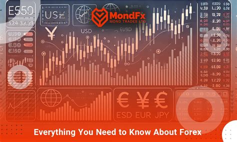 Forex Terminology Everything You Need To Know About Forex