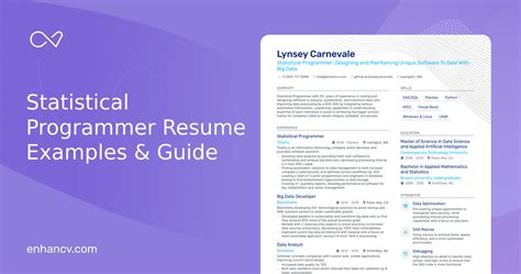 5 Statistical Programmer Resume Examples Guide For 2024