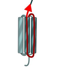 Bugle Boardwalk Bracelet