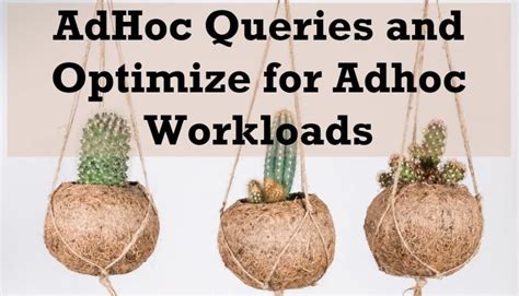 Sql Server Adhoc Queries And Optimize For Adhoc Workloads Sql