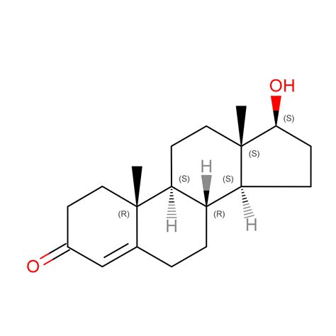 Testosterone Structure