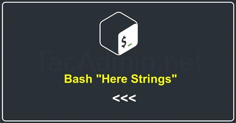 An In Depth Guide To Here Strings