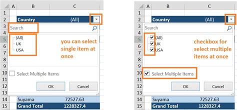 Filter Data In Pivot Table In Excel Excelvbaskillsup