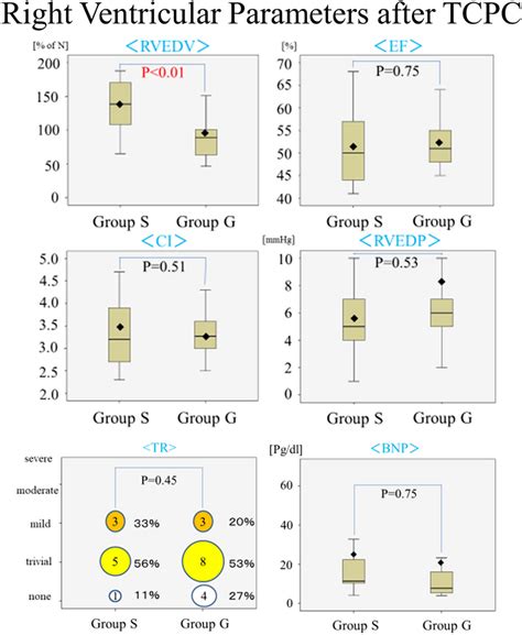 Right Ventricular Function After Total Cavopulmonary Connection Download Scientific Diagram