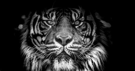 How To Create Neon Text With Css Artofit