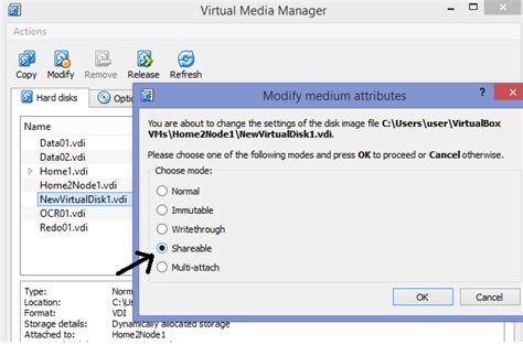 Create Shared Asm Disk For Rac Oracle Vm Tech Articles