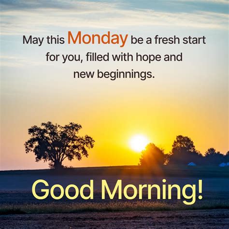 Monday Morning Happy Quotes Monday Work Quotes Hi Res Stock