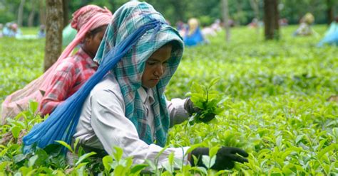 [cover Article] Addressing Climate Intersectionality In India Avpn