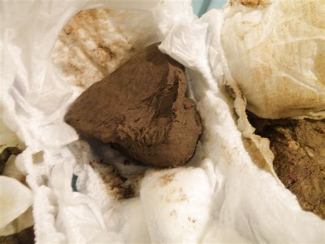 Poopy Diapers Image 2975993 Thisvid Tube