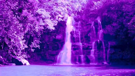 9 Minute Guided Gratitude Meditation Audio Only Xxx Mobile Porno Videos And Movies Iporntv Net