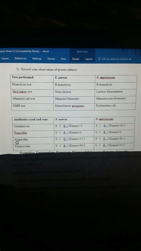 Solved Table Tool Layout References Mailings Review View Chegg Com