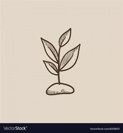 Как нарисовать росток 22 фото