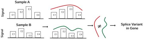 schematic diagram to illustrate alternative splice variant detection in