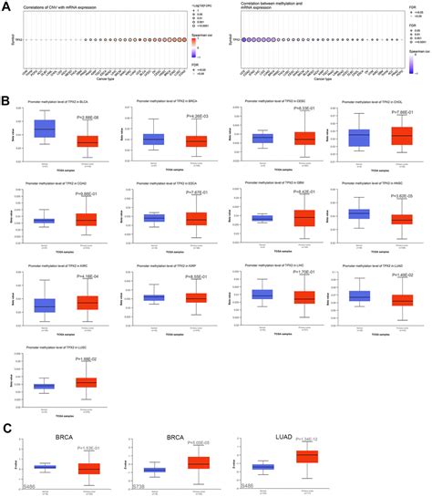 Integrative Analysis Confirms Tpx2 As A Novel Biomarker For Clinical Implication Tumor