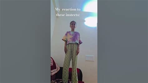 I Hate Cocroach 🤢 Youtube