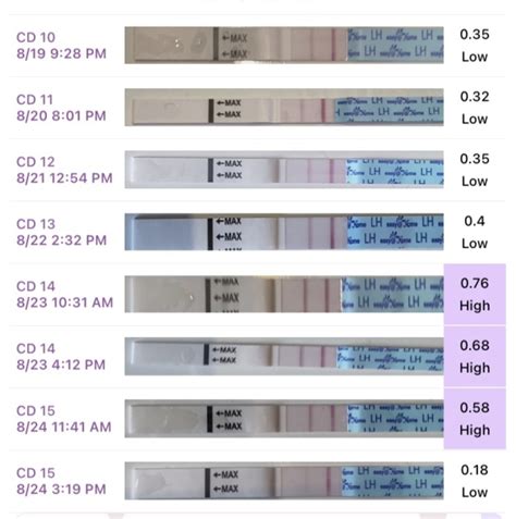 Easy Home Ovulation Mumsnet