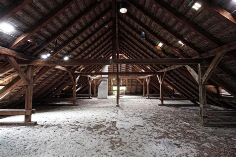 Chilling Phrogging Act Explained As Man Found Living In Pensioners House For Years