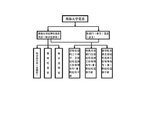 青海大学纪检工作组织构架图 部门设置及领导 青海大学纪委审计监察处